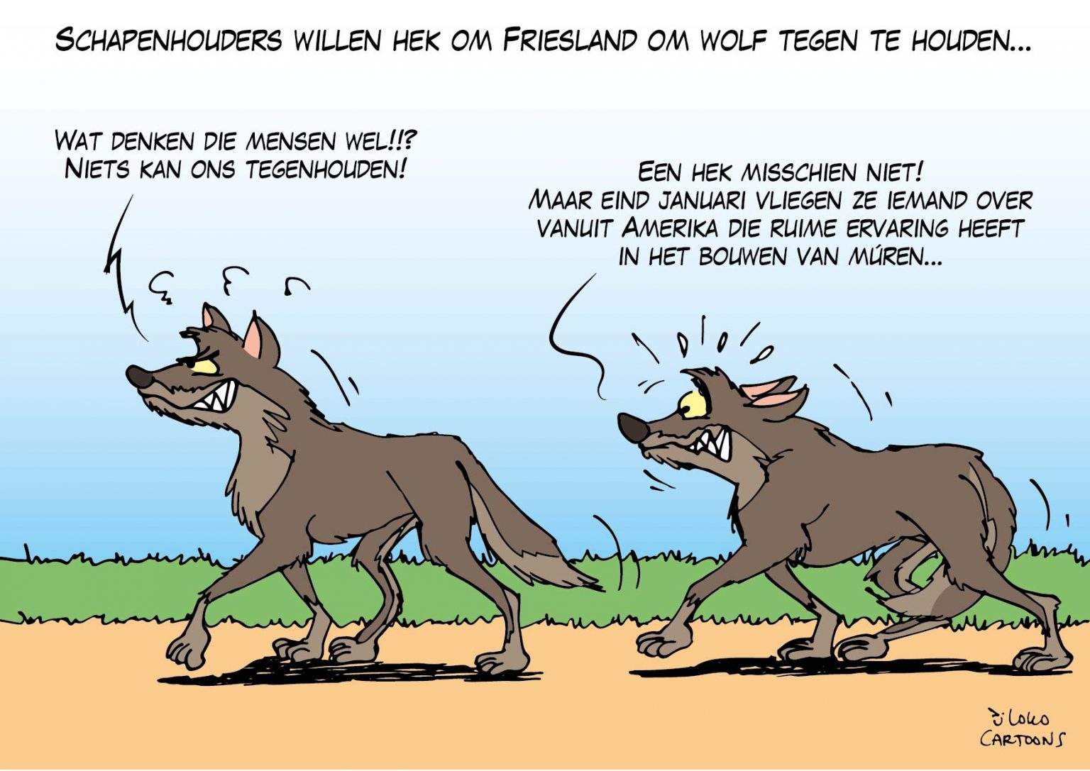 Schapenhouders willen hek om Friesland om wolf tegen te houden ...